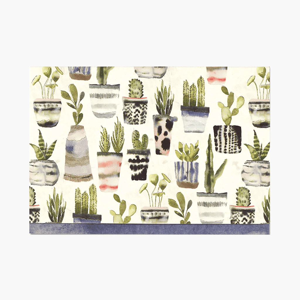 Watercolour Succulents Note Cards – ArtSmart Art Store & Picture Framing